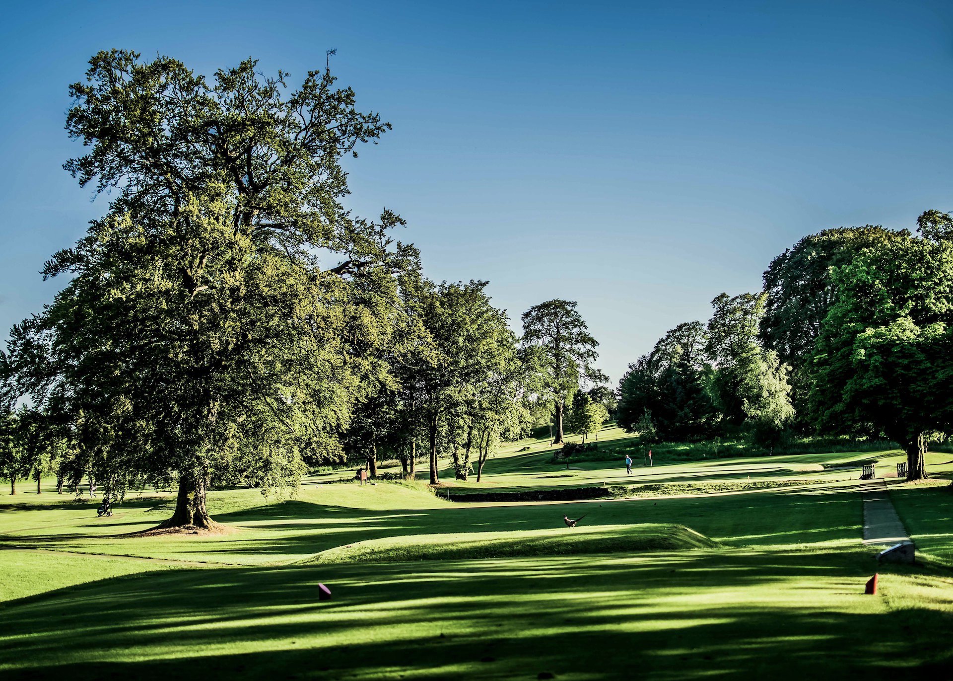 The Course - Caldwell Golf Club - One of the Best Courses in the Region